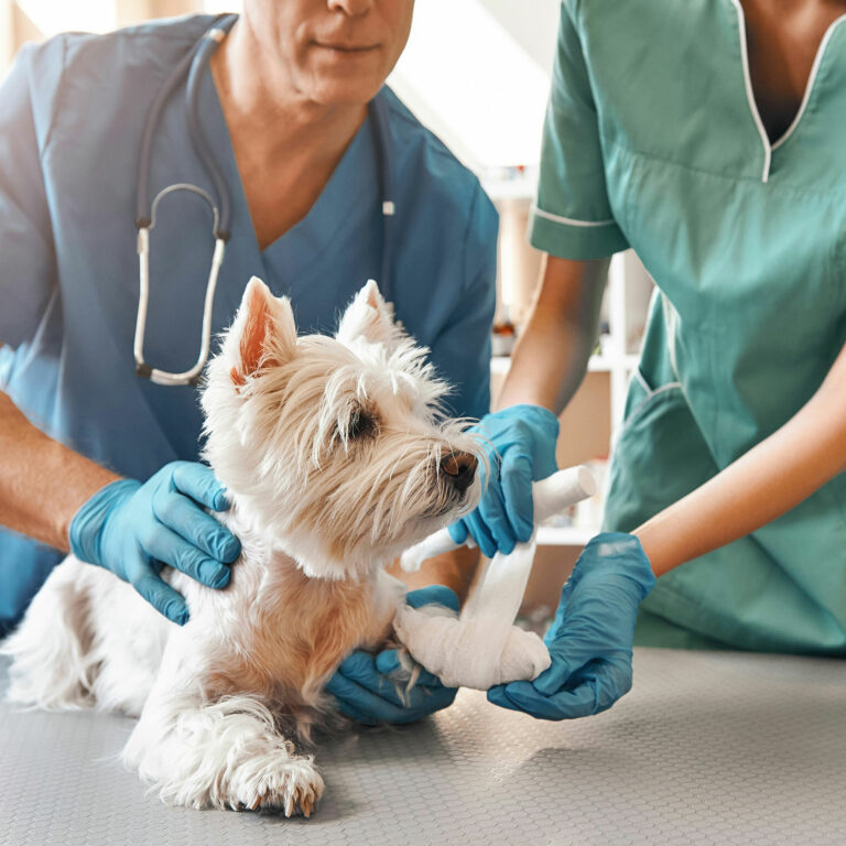 Axience - Motion Equity Partners