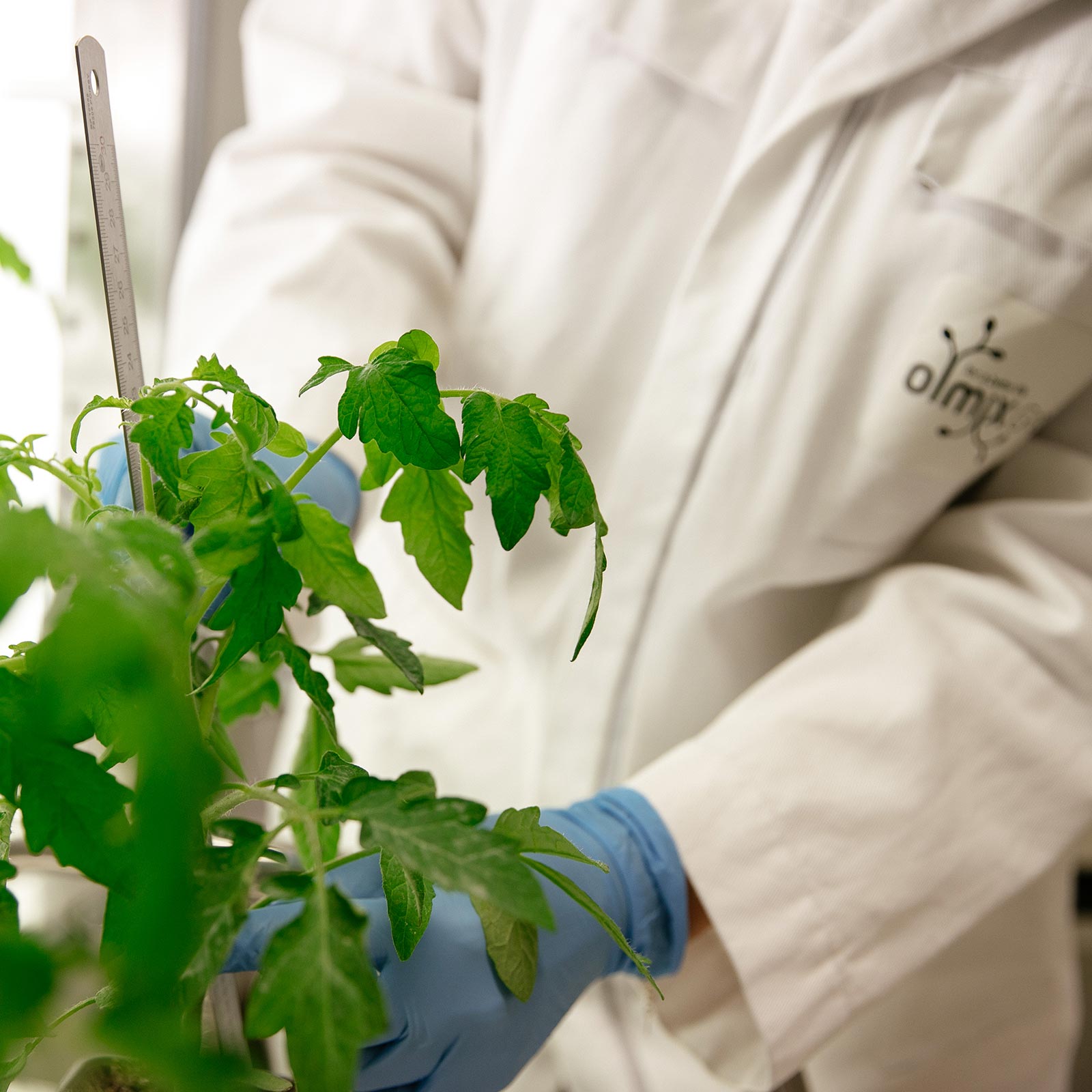 Olmix - Motion Equity Partners